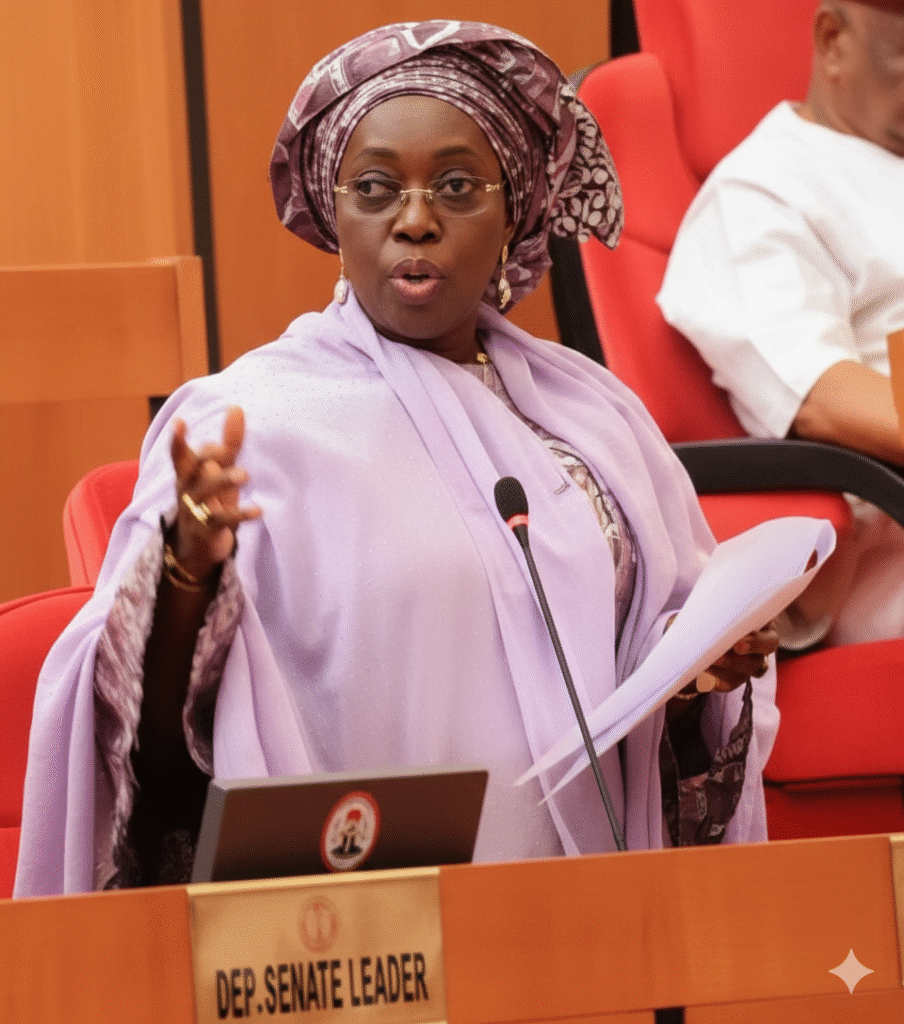 2026 Budget: FG Ends Sole Burden of Electricity Subsidy, States to ...