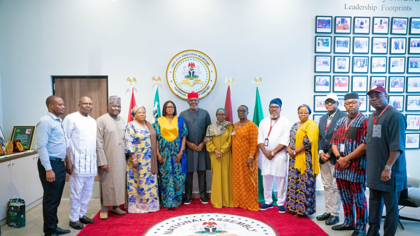 Nigeria's New Consumer Credit Corporation Explained - NALTF